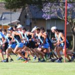 Home - Sturt Football Club
