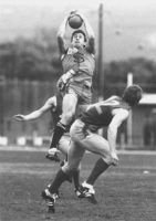 1980-1989 - Sturt Football Club