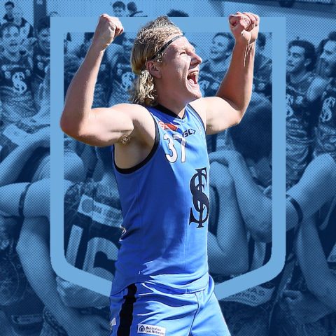 Home - Sturt Football Club