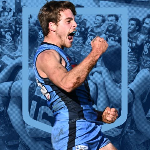 Best & Fairest Awards - Sturt Football Club