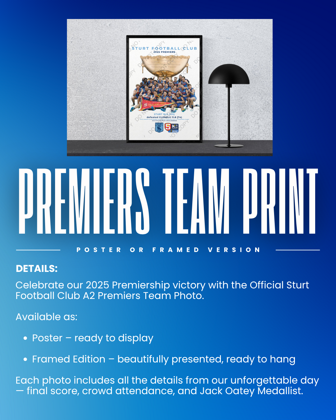 Premiership Team Frame - Sturt Football Club